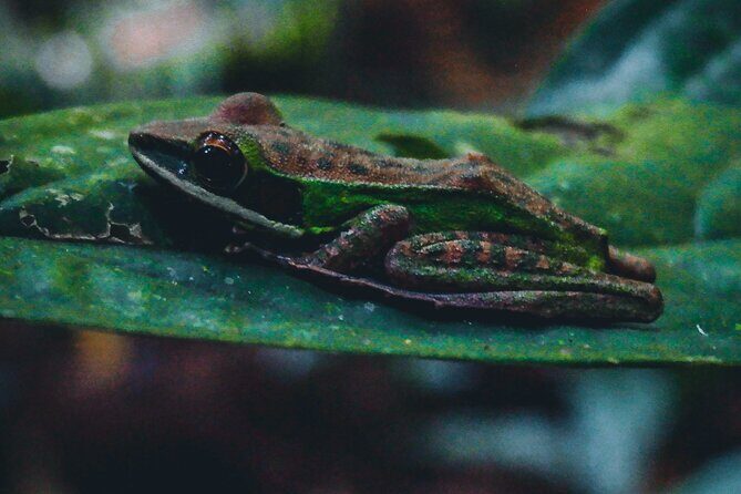 Secluded Waterfall Adventure - Who Should Book This Tour?