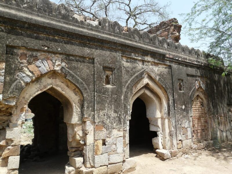 Secret and Spooky Ruins of Mehrauli Archaeological Park - Who Should Consider This Tour?