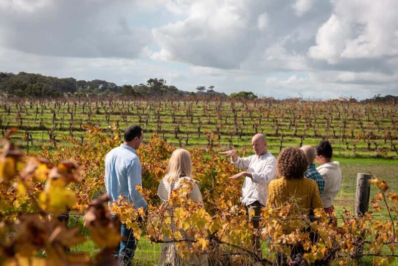 Secret Delights: Wine, Coffee, Artisan and Forest Tour - Introduction and What to Expect