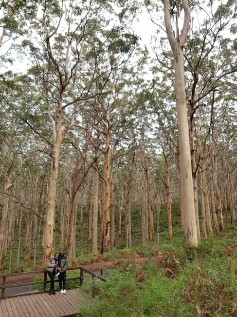 Secret Delights: Wine, Coffee, Artisan and Forest Tour - The Experience and Guide Quality