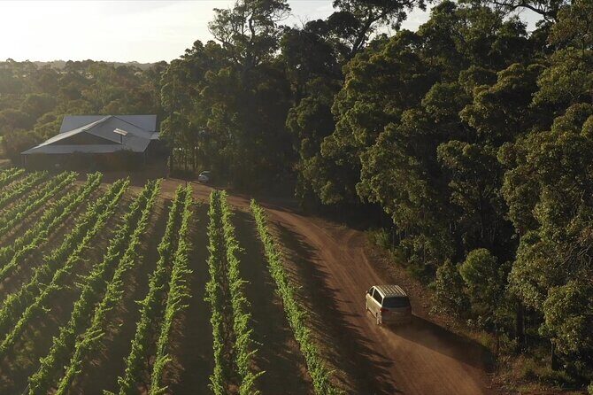 Secret Delights: Wine, Coffee, Artisan and Forest Tour - The Sum Up: Who Should Consider This Tour?