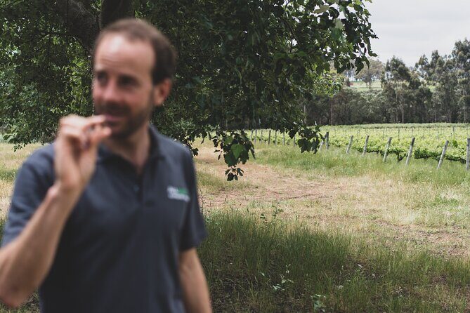 Secret Delights: Wine, Coffee, Artisan and Forest Tour - FAQ Section