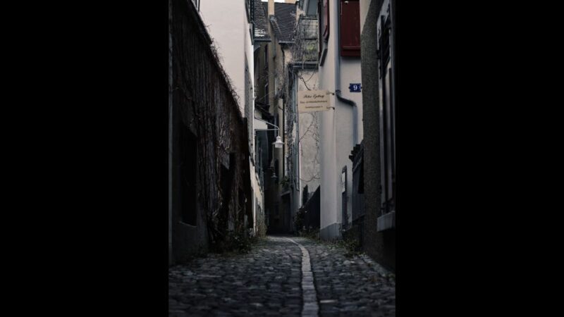 Secret Doors of Zurich Discovery Walk - A Closer Look at the Tour Experience