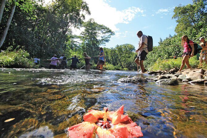 Secret Falls Kayak and Hike in Kauai - The Value in This Experience