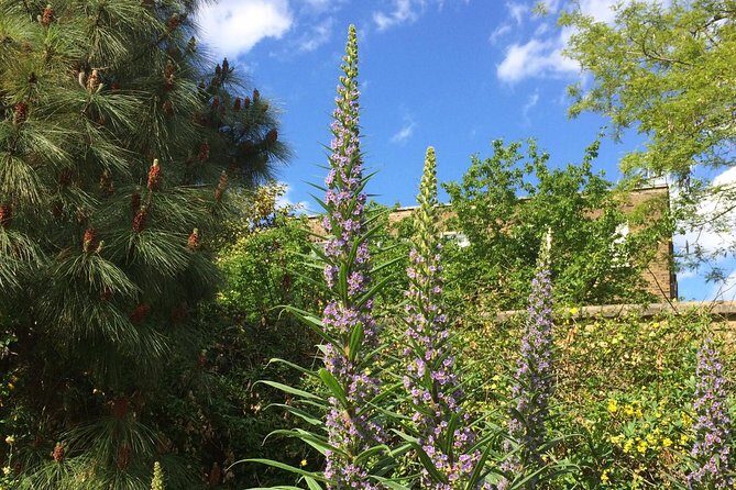 Secret Gardens of London Private Tour - An In-Depth Look at the Secret Gardens of London Tour