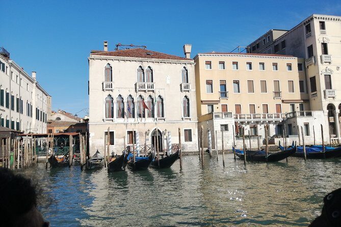 Secret gardens of Venice in the Dorsoduro district with Cichetti tasting - The Palaces and Gardens
