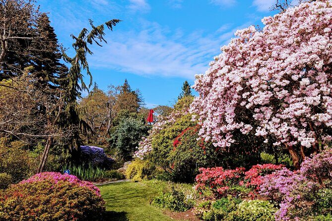 Secret Gardens of Victoria Tour - Exploring Victoria’s Secret Gardens: What to Expect