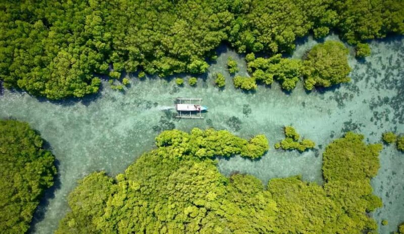 Secret Gili's Lombok: Gili Kondo, Kapal, Petagan, Bidara - Introduction