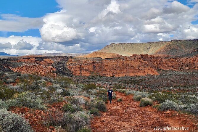 Secret Petroglyphs Hike Adventure - Who Will Love This Tour?