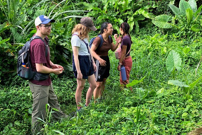 Secret Pool Hike Along the Kalinago Canoe Trail - FAQs About the Secret Pool Hike