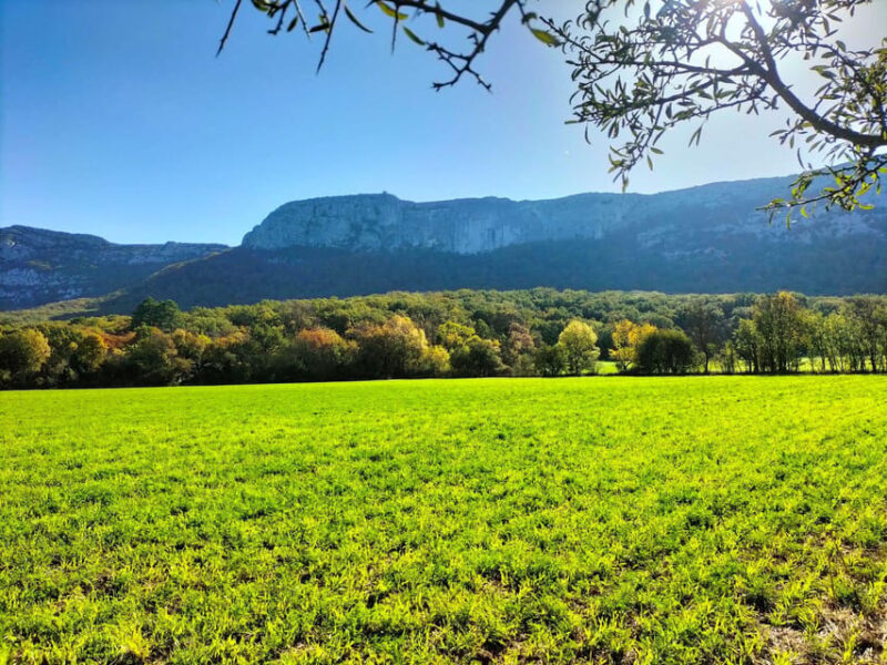 Secret Provence on Mary Magdalenes Path - Who Will Love This Tour?