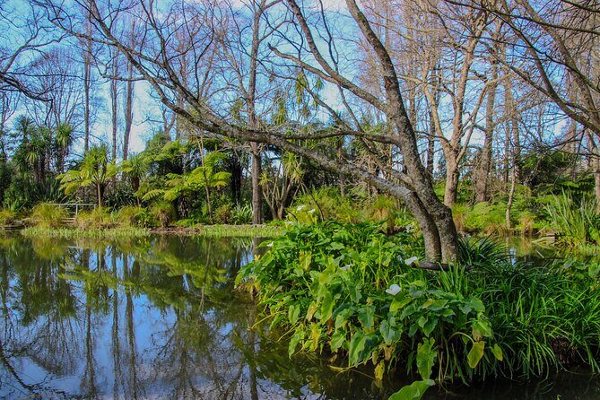 Secret Realms of Middle-earth: Lothlorien and Gladden Fields - Who Will Love This Tour?