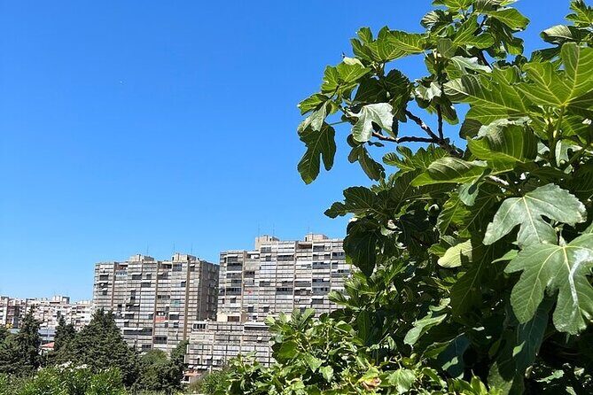 Secret Split: Socialist Architecture & brutalism - Urban Utopia - The Broader Context: Split-Dalmatia County and Its Urban Legacy