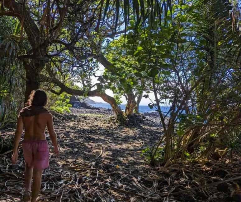 Secret Tide Pool Hike - Jungle & Coast - Private - The Value of This Experience