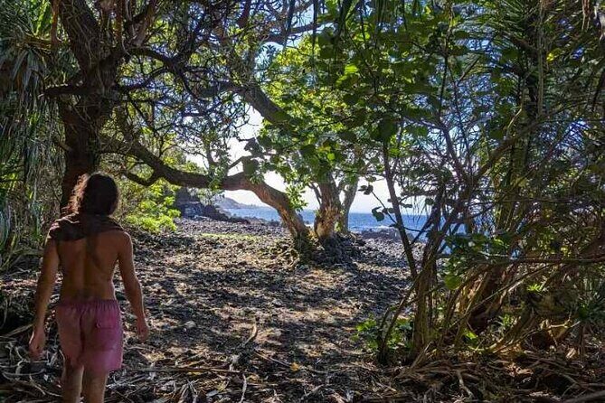 Secret Tide Pool Hike - Jungle & Coast - Private - What’s the Value?