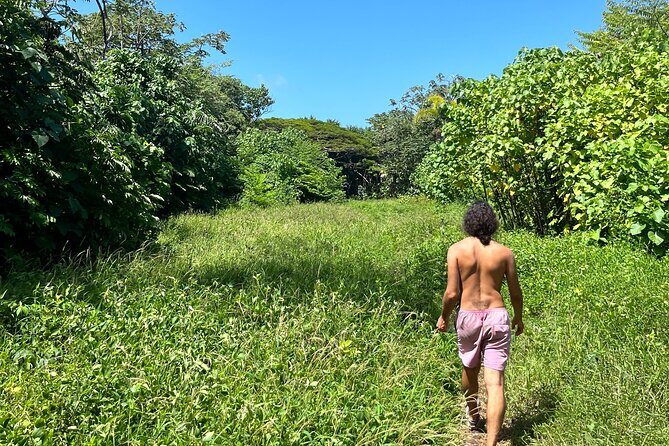 Secret Tide Pool Hike - Jungle & Coast - Private - Who Should Book This Tour?