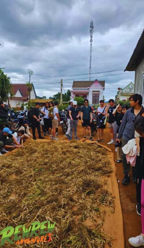 Secret Tour Dalat - Key Points