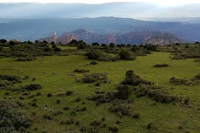 Secret Wilderness (45+ Mile) - Sedona Helicopter Tour - A Closer Look at the Sedona Helicopter Adventure