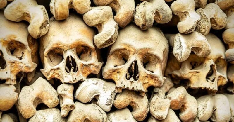 Secrets Beneath Rome: Capuchin Crypt and Catacombs Tour - Why This Tour Offers Good Value