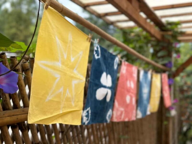 Secrets Dujiangyan & Intangible Cultural Legacy Private Tour - The Day’s Pace and Logistics