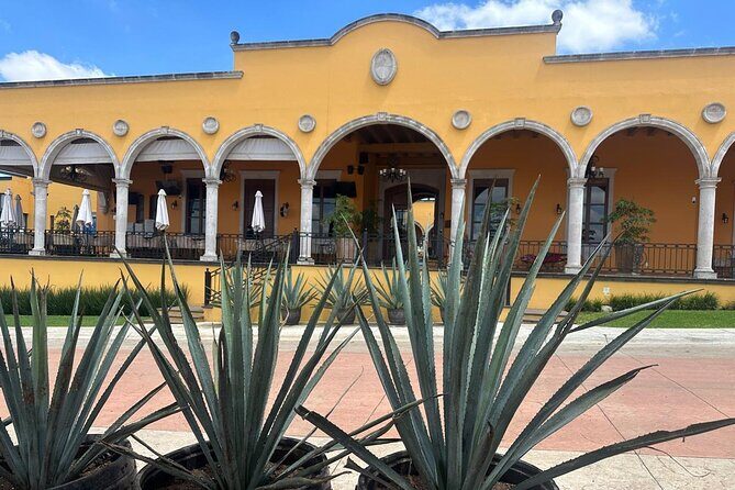 Secrets in Los Altos del Tequila - An In-Depth Look at the Experience