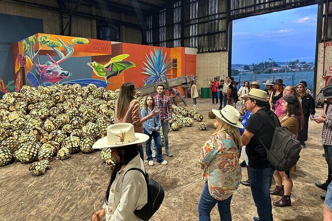 Secrets in Los Altos del Tequila - Who Will Love This Tour?