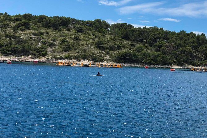 Secrets of Brac and Solta - Off the Beaten Track Croatia - Final Thoughts