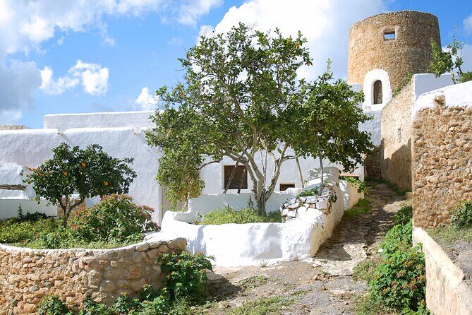Secrets of Ibiza - Car tour in 8 hours - Who Will Love This Tour?