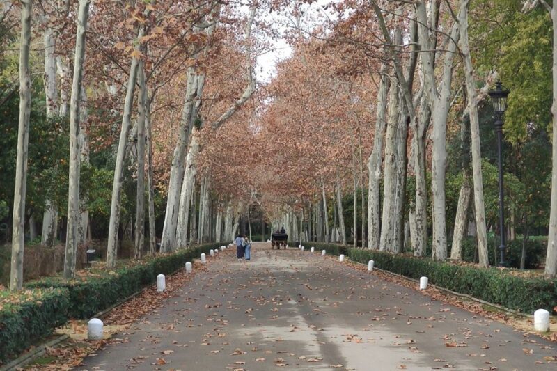 Secrets of Maria Luisa Park and Plaza de Espana - Is It Worth It?