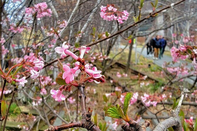 Secrets of the High Line - Who Should Book This Tour?
