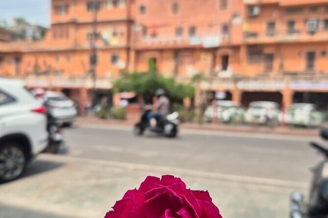 Secrets of the Pink City Old Jaipur Heritage Walking Tour - Final Thoughts