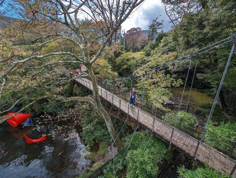 Secrets of Tokyo: Expert-Led Private Tour - An In-Depth Look at the Experience