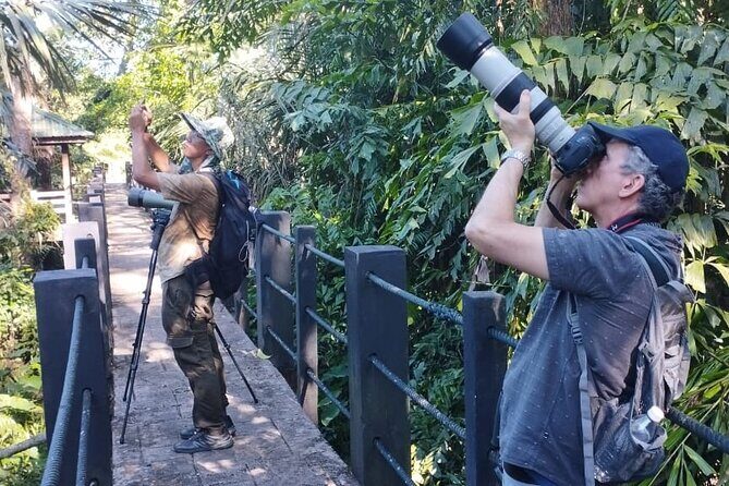 Sedim Rainforest and Canopy Walk - Key Points
