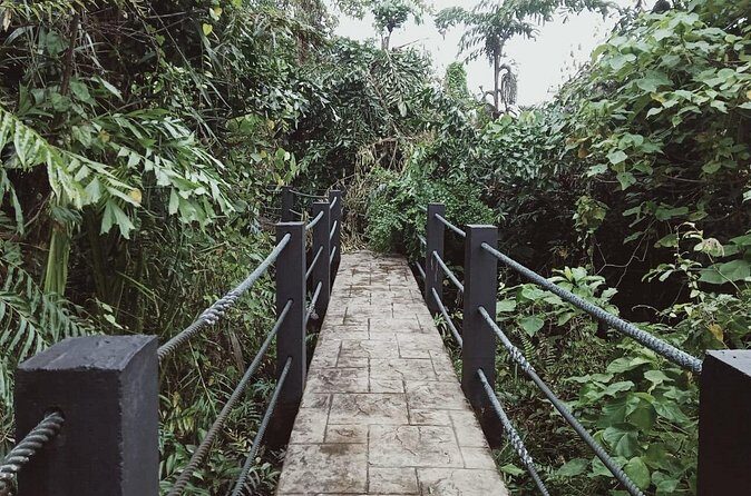 Sedim Rainforest and Canopy Walk - Who Will Love This Tour?