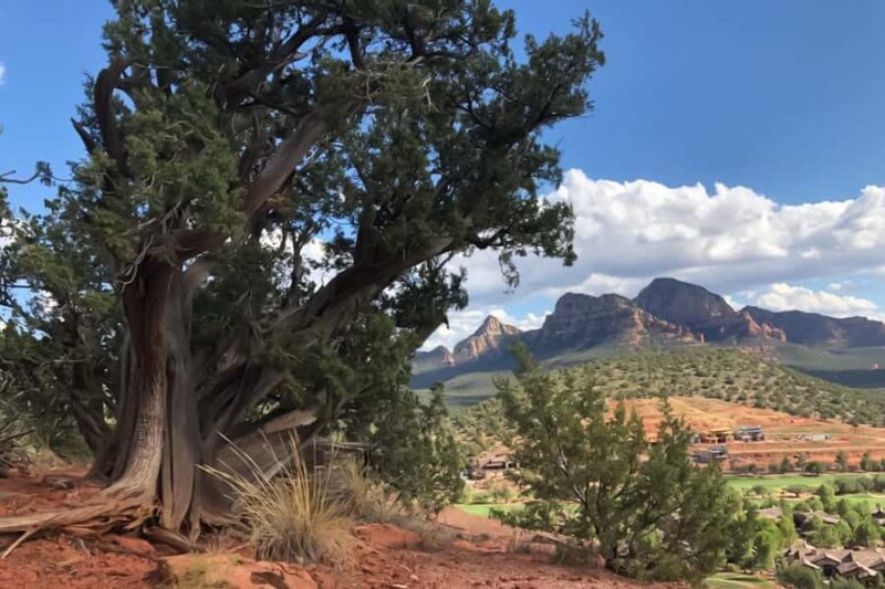 Sedona: Guided Vortex Jeep Tour - Final Thoughts: Who Will Love This Tour?