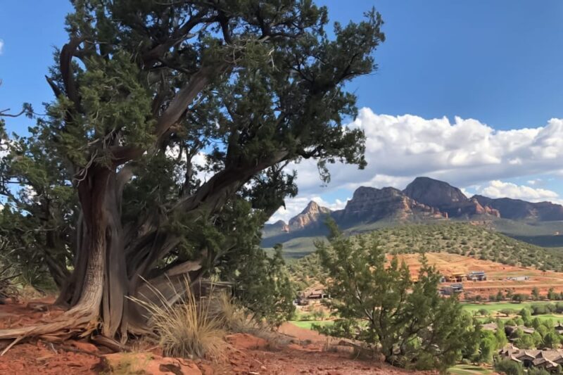 Sedona: Guided Vortex Jeep Tour - FAQ