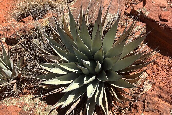 Sedona Magical Sightseeing Highlight Tour- 5 Stars - The Sum Up