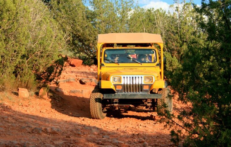 Sedona: PRIVATE 2-Hour Jeep Tour Lil' Rattler Trail - Who Will Love This Tour?
