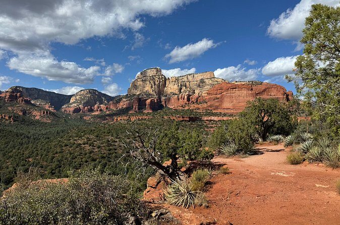Sedona Red Rock Country Private Sightseeing Tour - Who Should Consider This Tour?