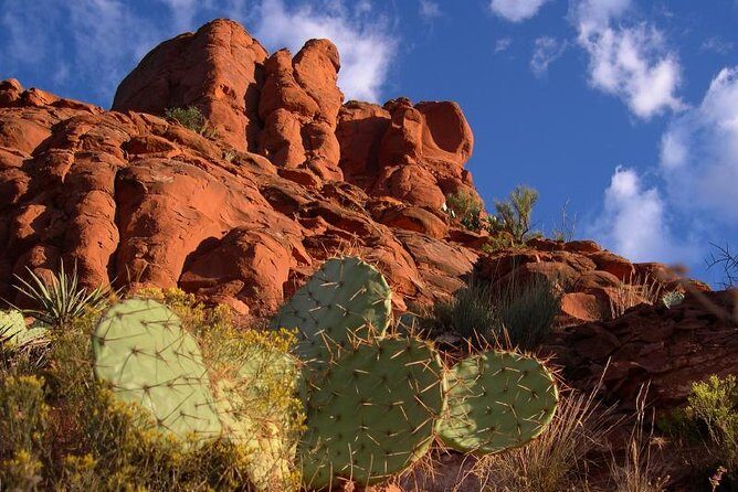 Sedona Red Rocks Outback Tour: Scenic with mild off-roading - Why You Should Consider This Tour