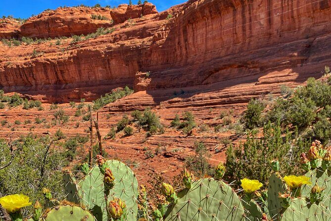 Sedona Sacred Canyons Loop Hike With a Private Guide - Gear and Comfort