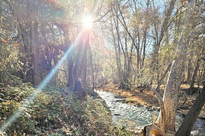 Sedona Sightseeing Tour - What Travelers Say and Why It Matters