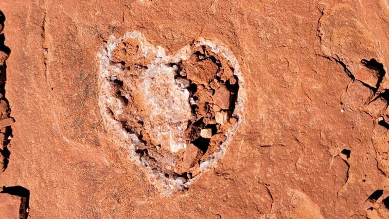 Sedona: The Scientific and Spiritual Vortex Tour - The Value of this Experience