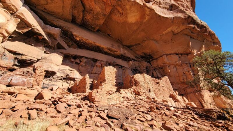 Sedona: The Scientific and Spiritual Vortex Tour - An In-Depth Look at the Sedona Vortex Tour