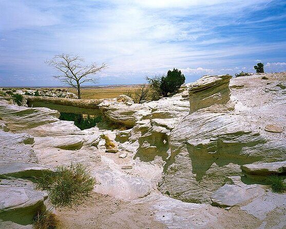 Sedona to Petrified Forest/Painted Desert Adventure PRIVATE TOUR! - An In-Depth Look at the Sedona to Petrified Forest/Painted Desert Tour