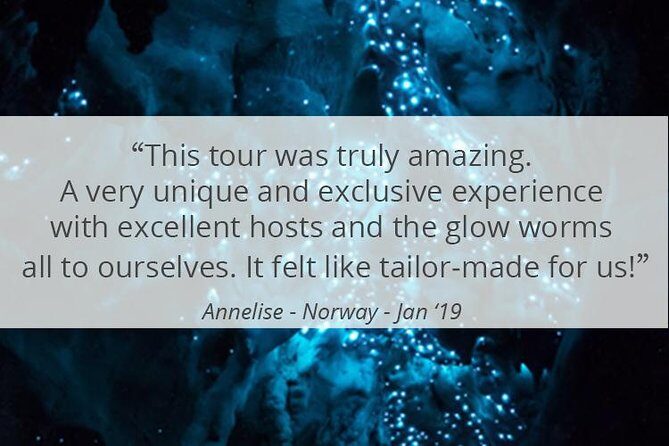 See Auckland's Secret Glow Worms - How the Itinerary Unfolds