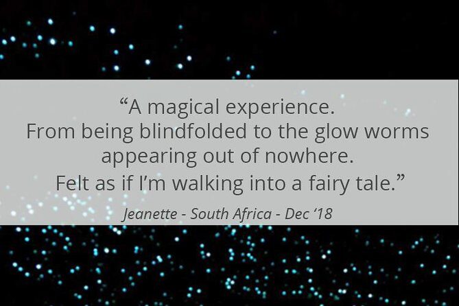 See Auckland's Secret Glow Worms - The Advantage of a Private, Guided Tour