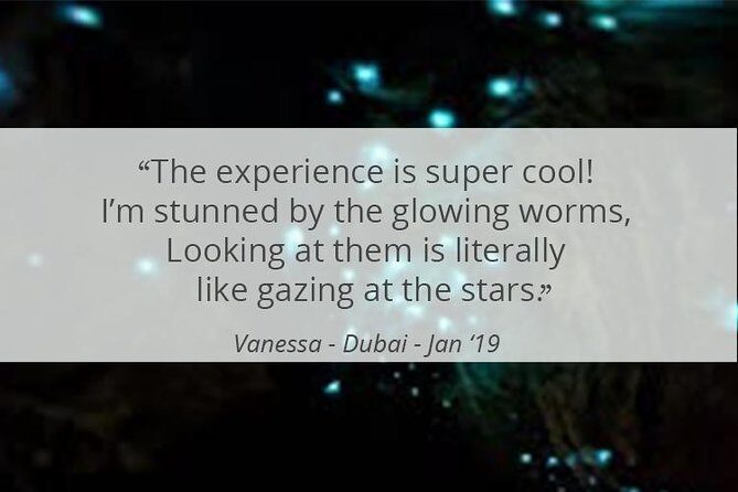 See Auckland's Secret Glow Worms - Considerations and Practical Tips