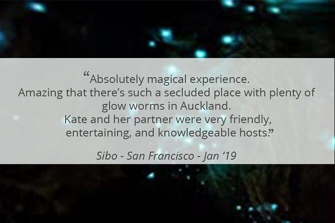 See Auckland's Secret Glow Worms - In The Sum Up