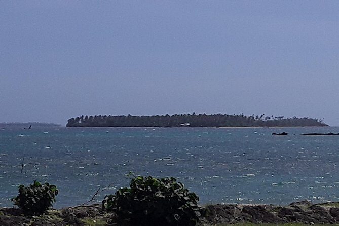 See Hear and Experience Full Island tour - Comprehensive Review of the See Hear and Experience Full Island Tour